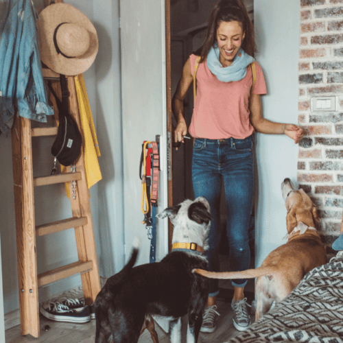 Choosing the Right Dog Sitter: Key Qualities - UrbanSitter