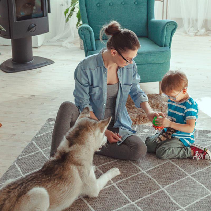 Finding the Best Pet Sitter Jobs - UrbanSitter