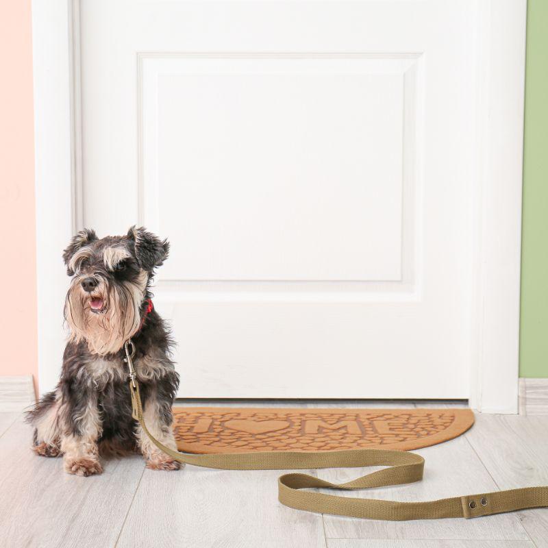 Finding the Best Pet Sitter Jobs - UrbanSitter