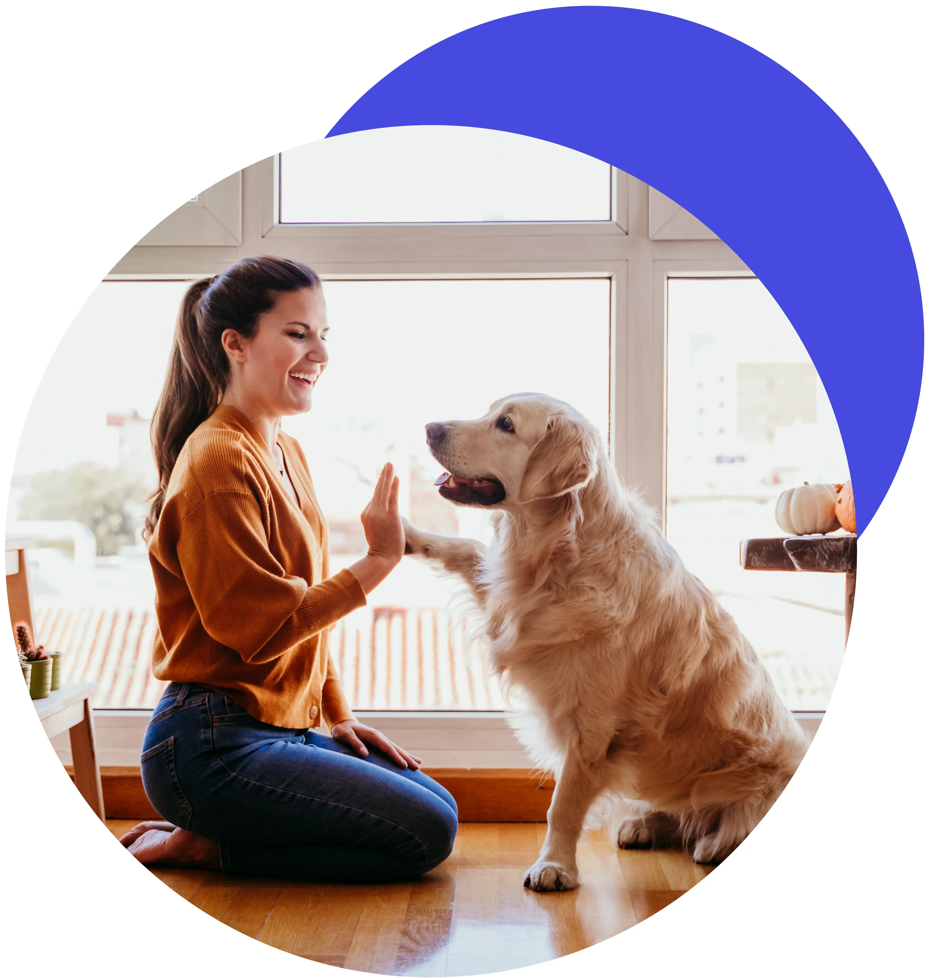 Pet Sitting Services | Trusted Pet Sitters Near You | UrbanSitter
